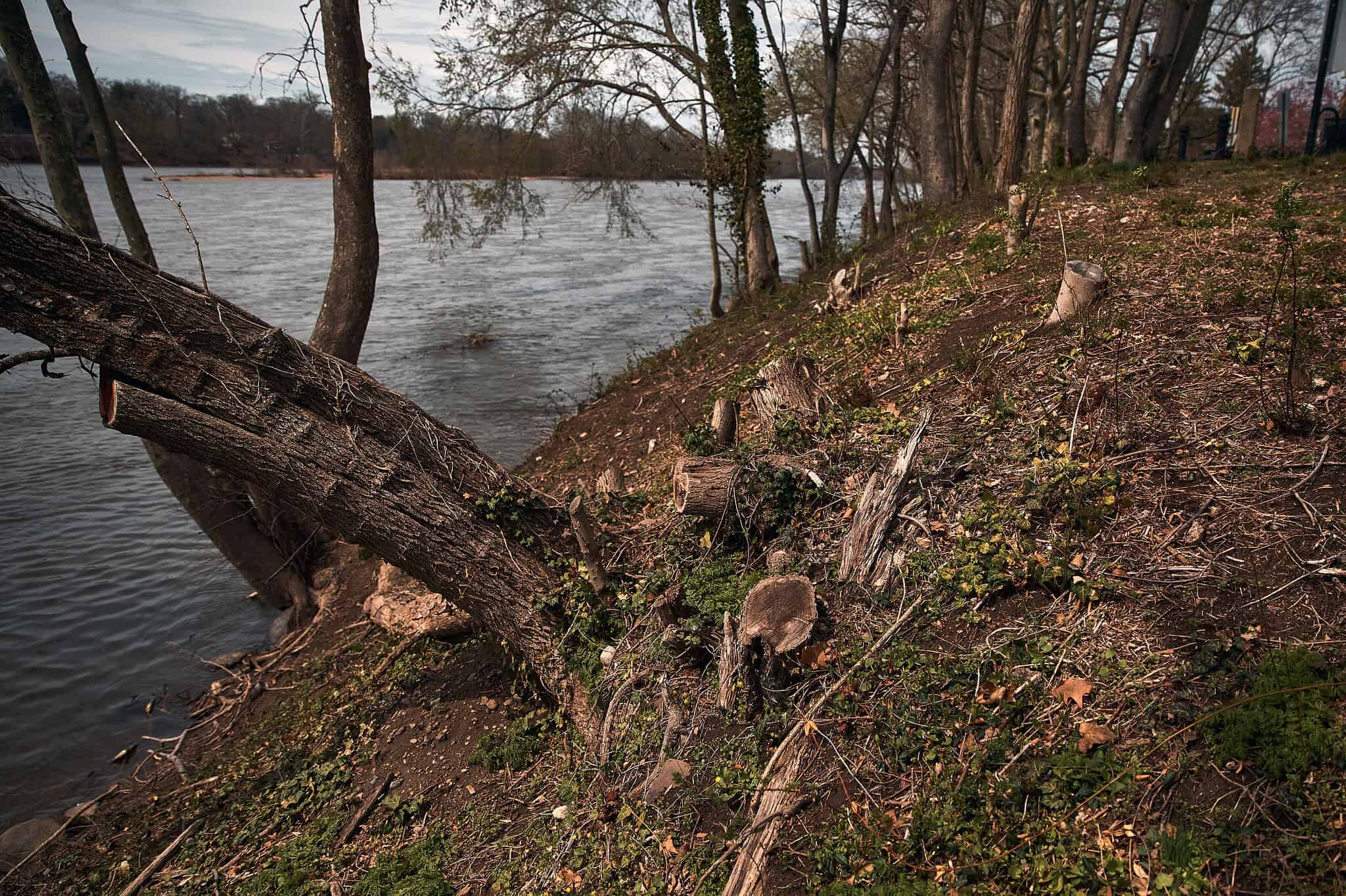 City of Trenton ordered to fix damage done by Delaware River clear ...
